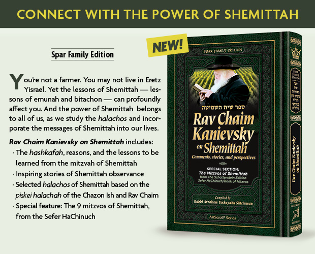 What Does Shemittah Have to Do With Me? Find out with Rav Chaim ...
