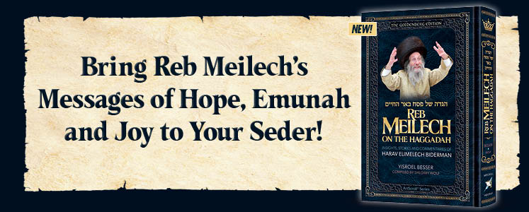 NEW: Reb Meilech on the Haggadah – This Year’s Pesach Must-Have! – The ...