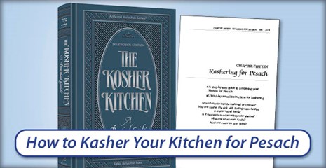 FREE YOMI DOWNLOADS! – The Official ArtScroll Blog